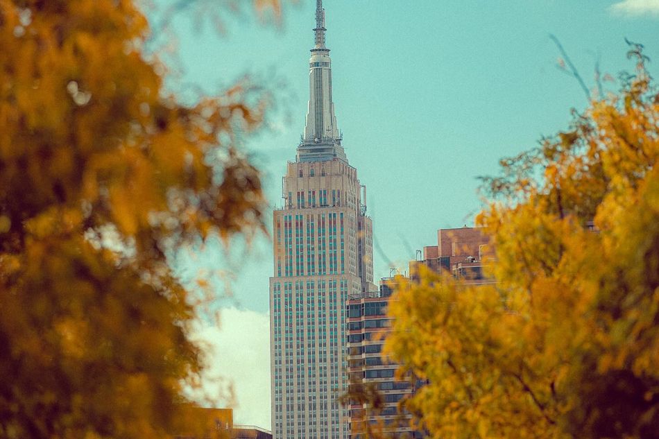 Discover the Perfect Fall Activities in NYC | Empire State Building
